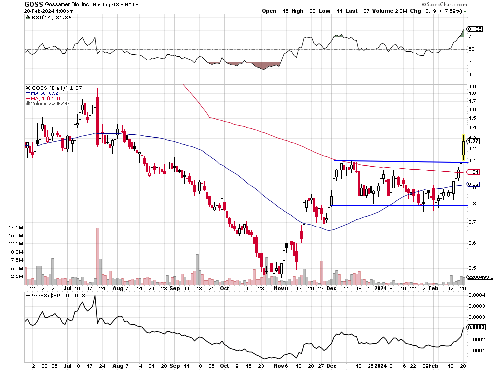 Gossamer Bio, Inc. - PRISM MarketView