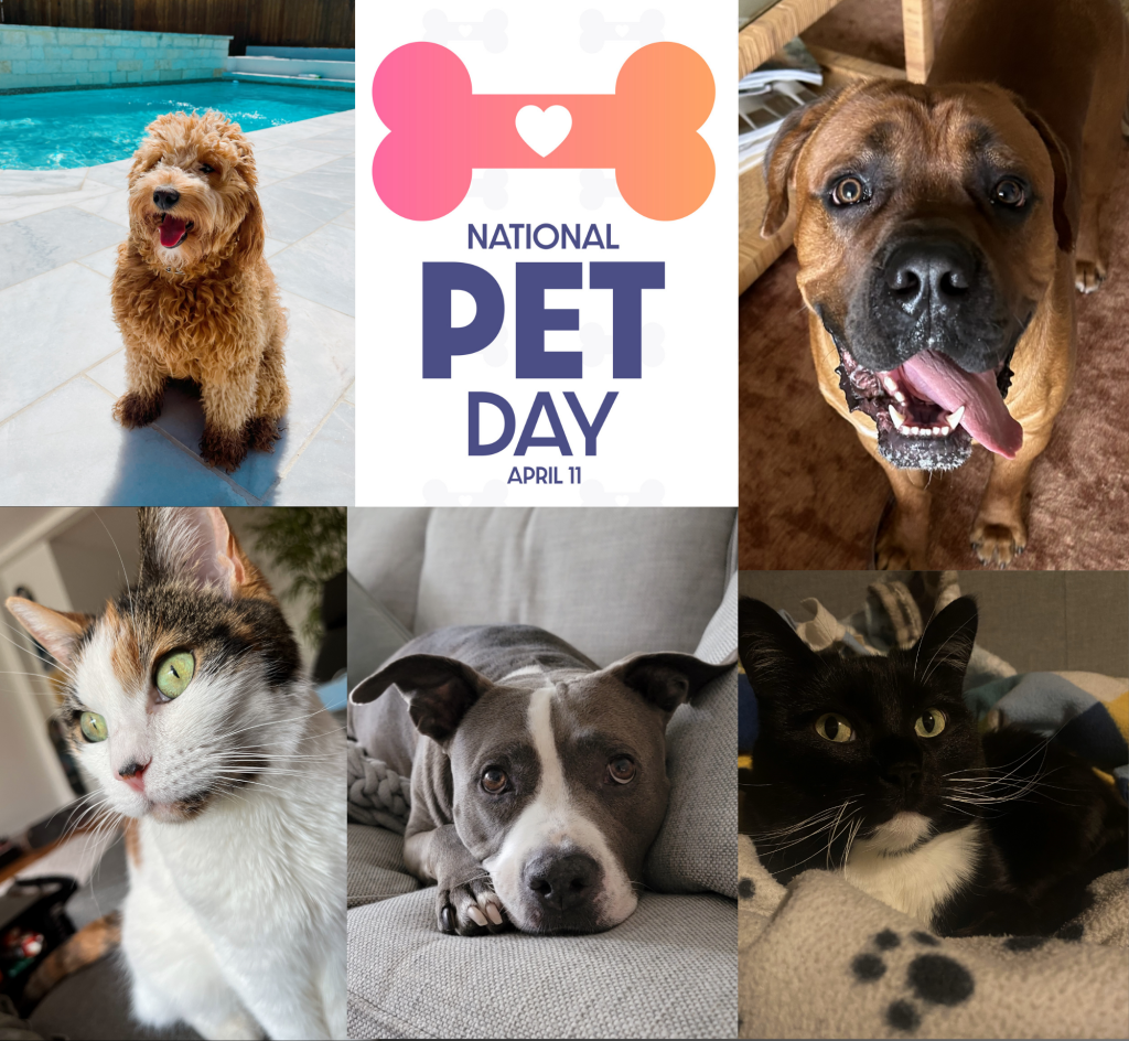 Portfolio Looking Ruff? PRISM Purrr-worthy Stock Plays on National Pet ...