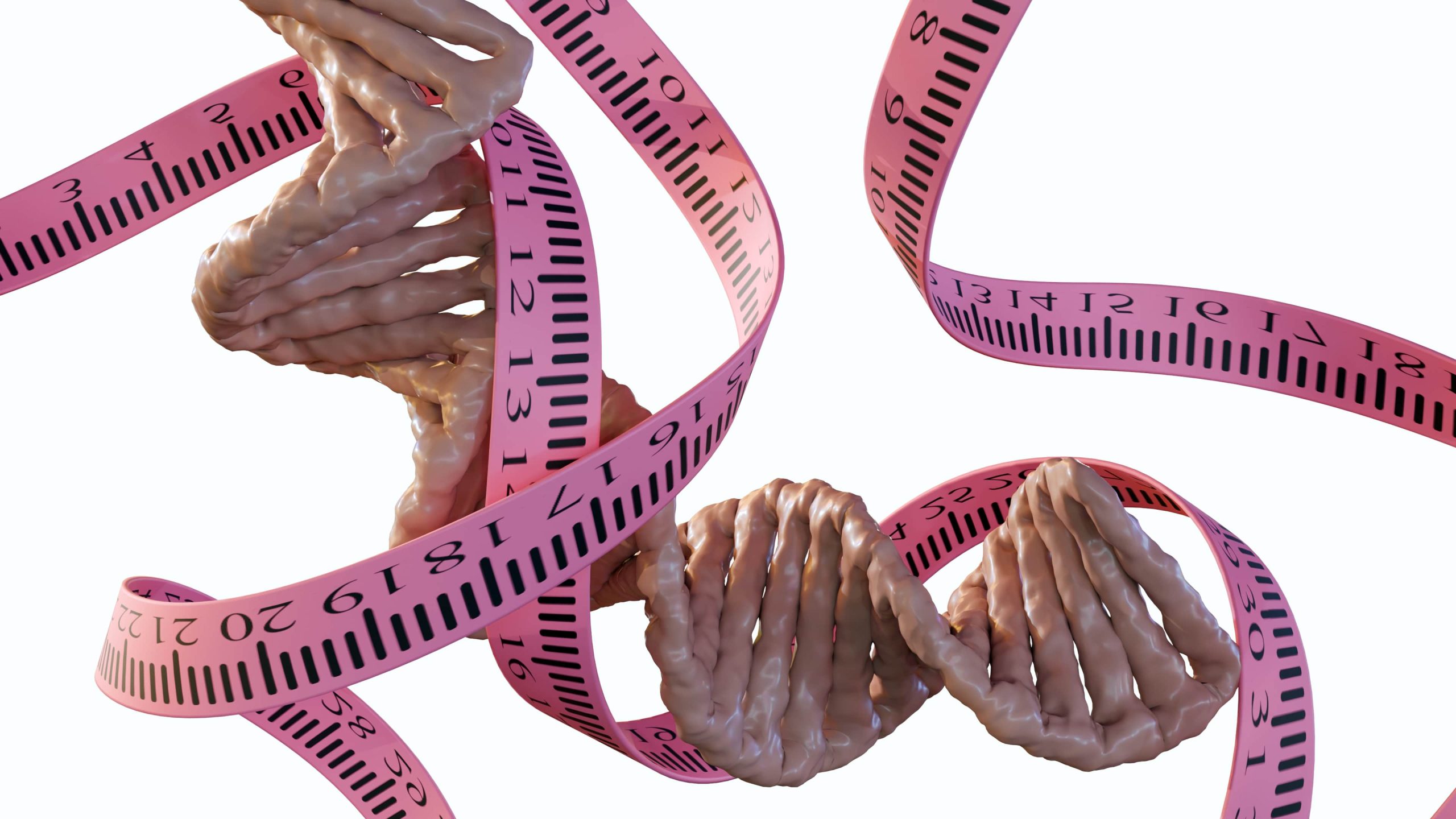 Fractyl Health Shifts Focus to Weight Maintenance & Gene Therapy with ...