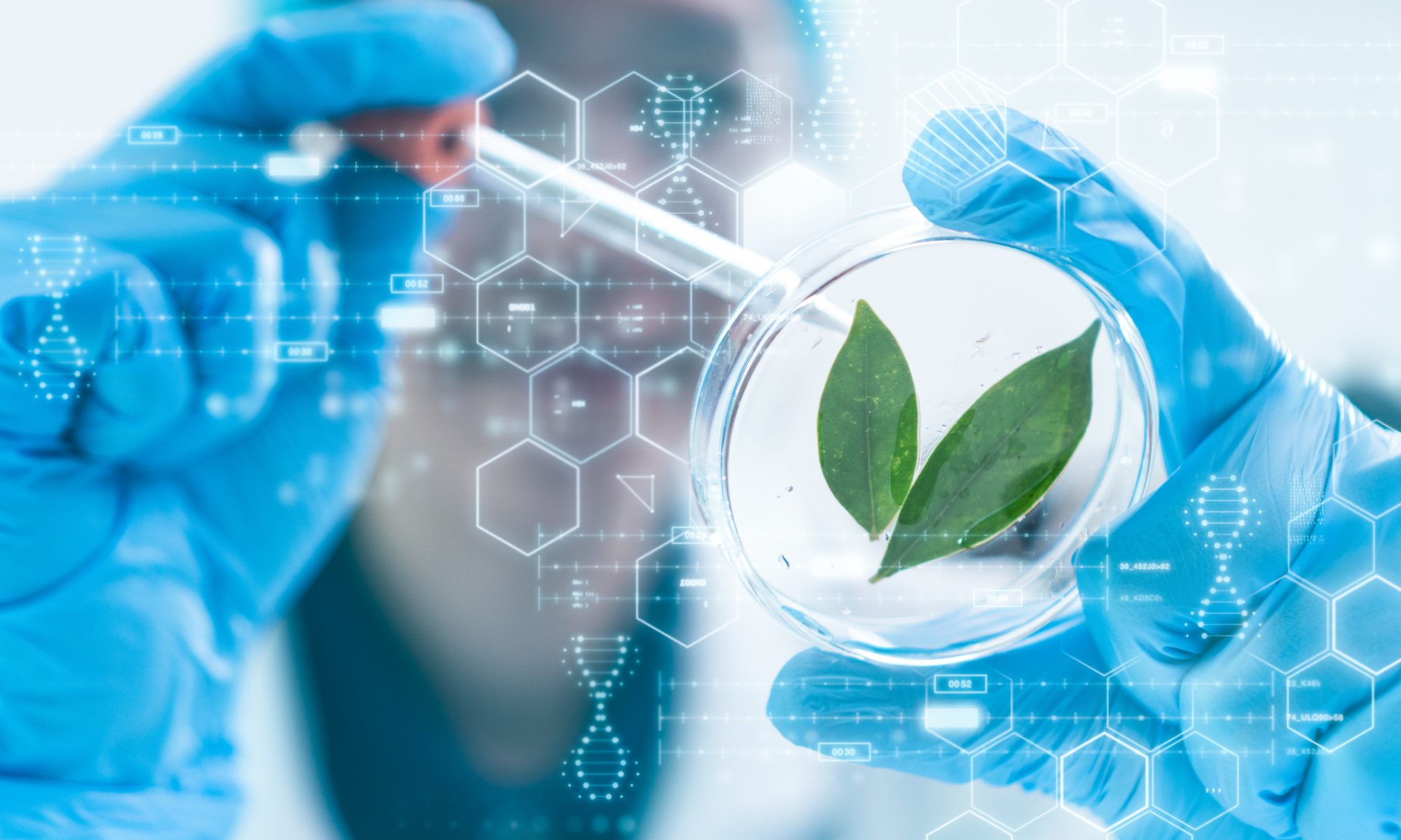 ABVC BioPharma Projects $7M in Cash Licensing Income for 2025, Shares ...