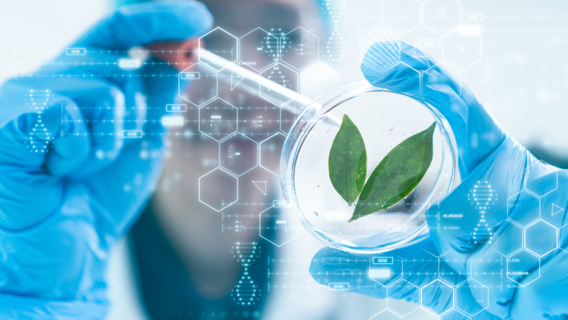 ABVC BioPharma Projects $7M in Cash Licensing Income for 2025, Shares ...