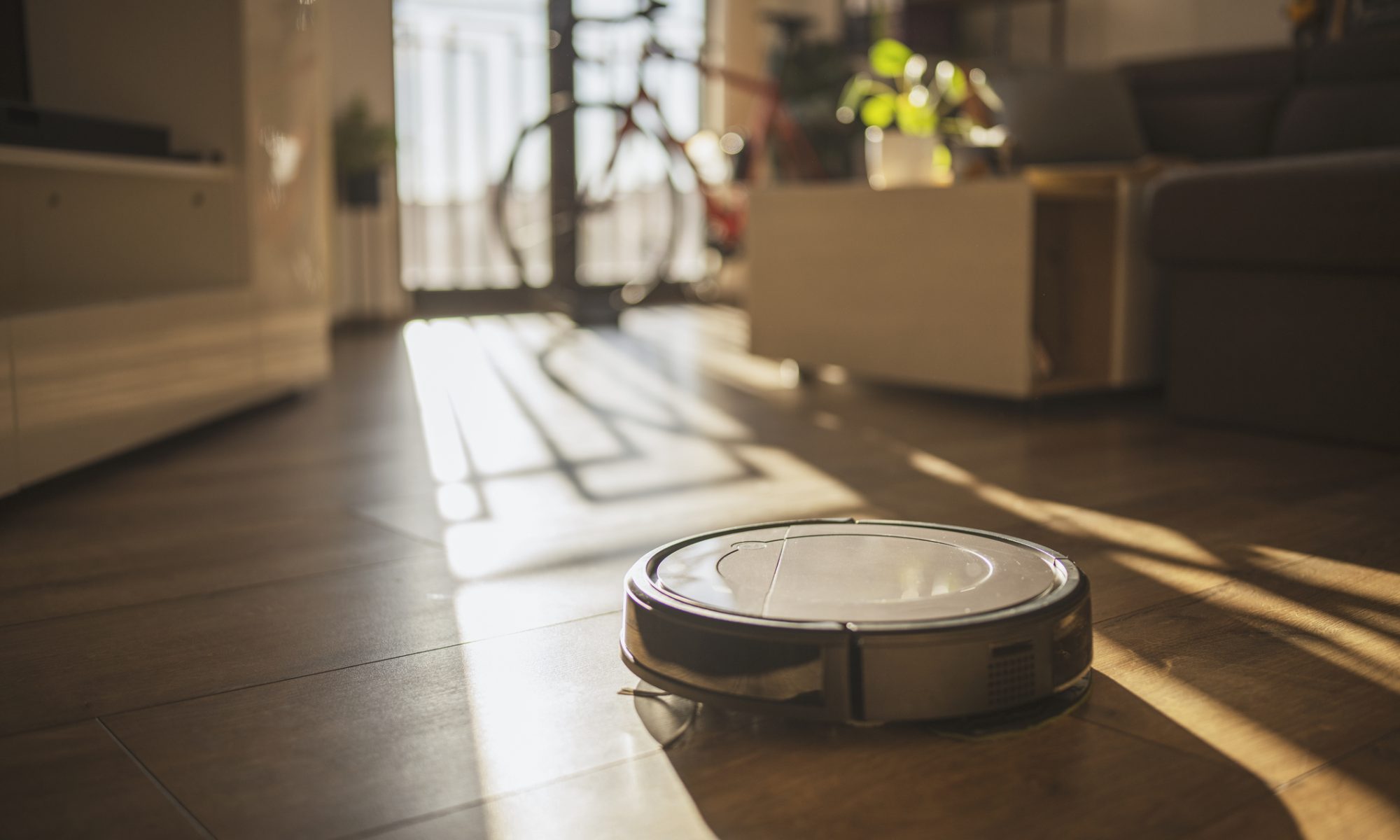 iRobot Faces Market Pressure Following Q4 and Full-Year 2024 Results ...