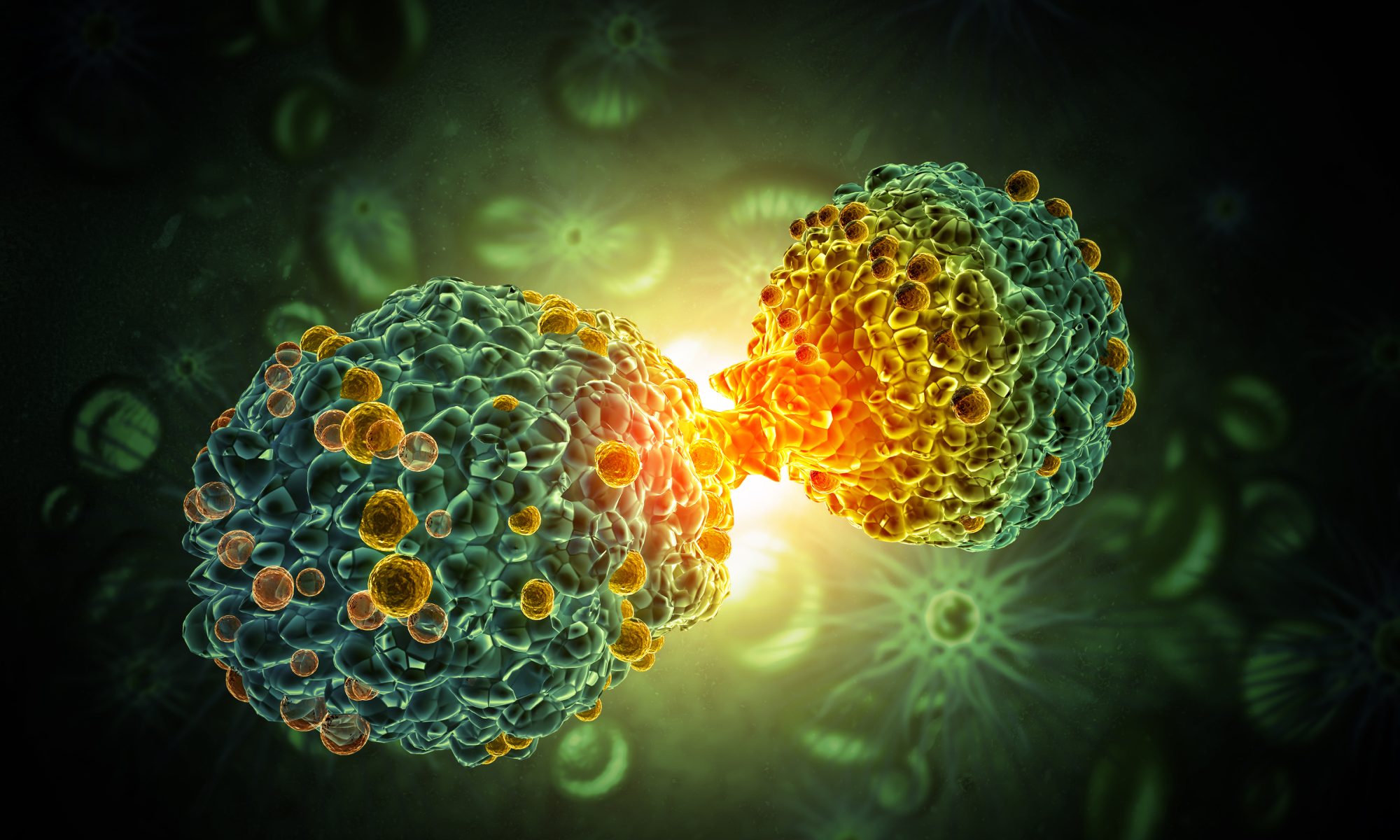 Erasca Gains IND Clearance for Two RAS-Targeting Cancer Therapies ...