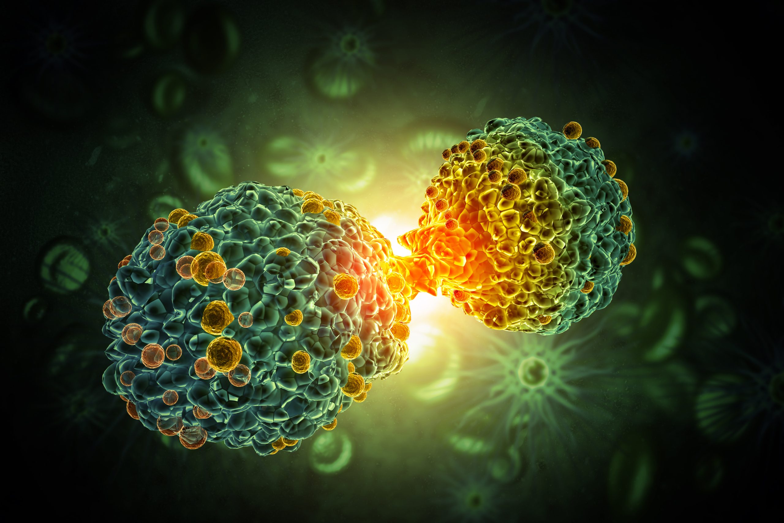 Erasca Gains IND Clearance for Two RAS-Targeting Cancer Therapies ...