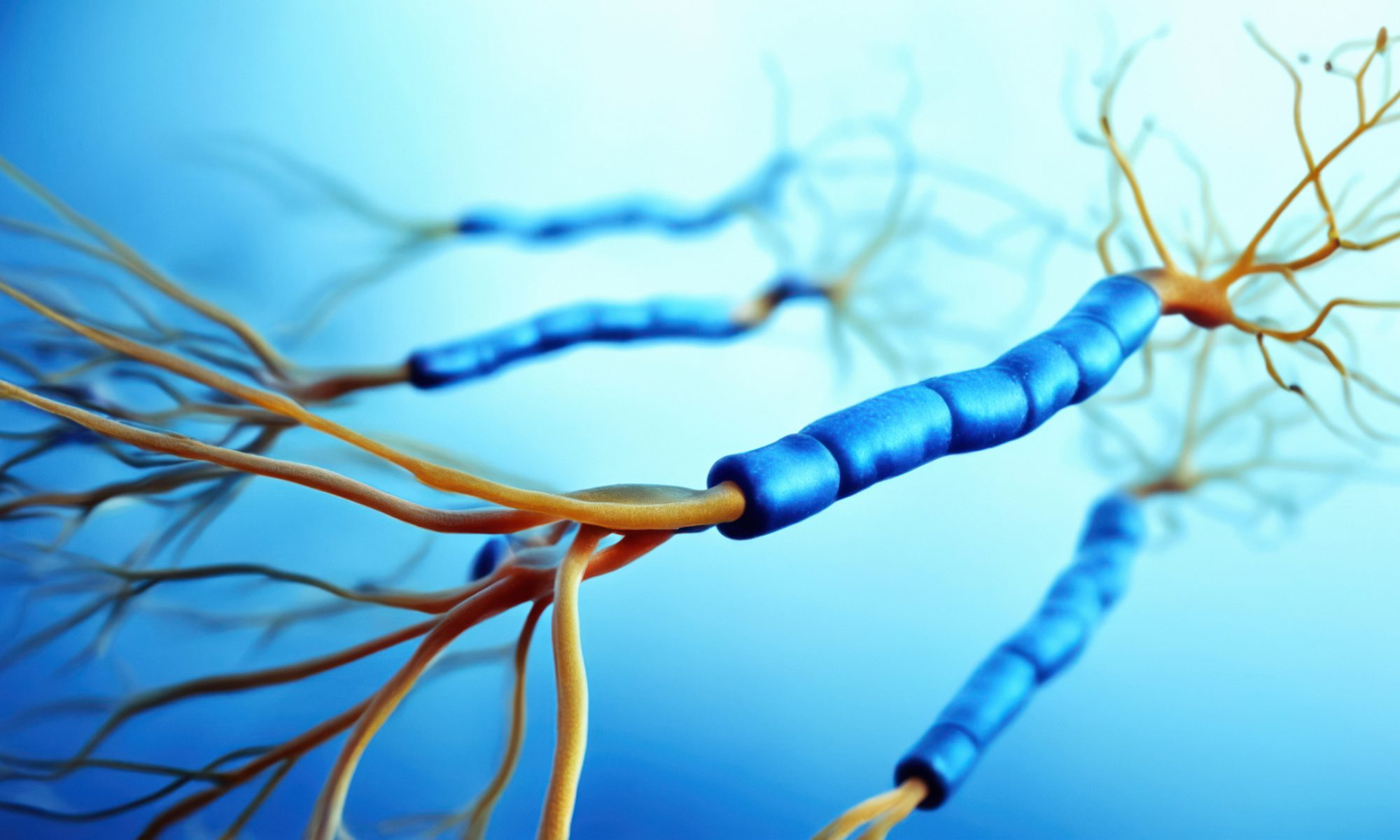 Immunic Advances Late-Stage MS Drug With Full Enrollment in Phase 3 ...