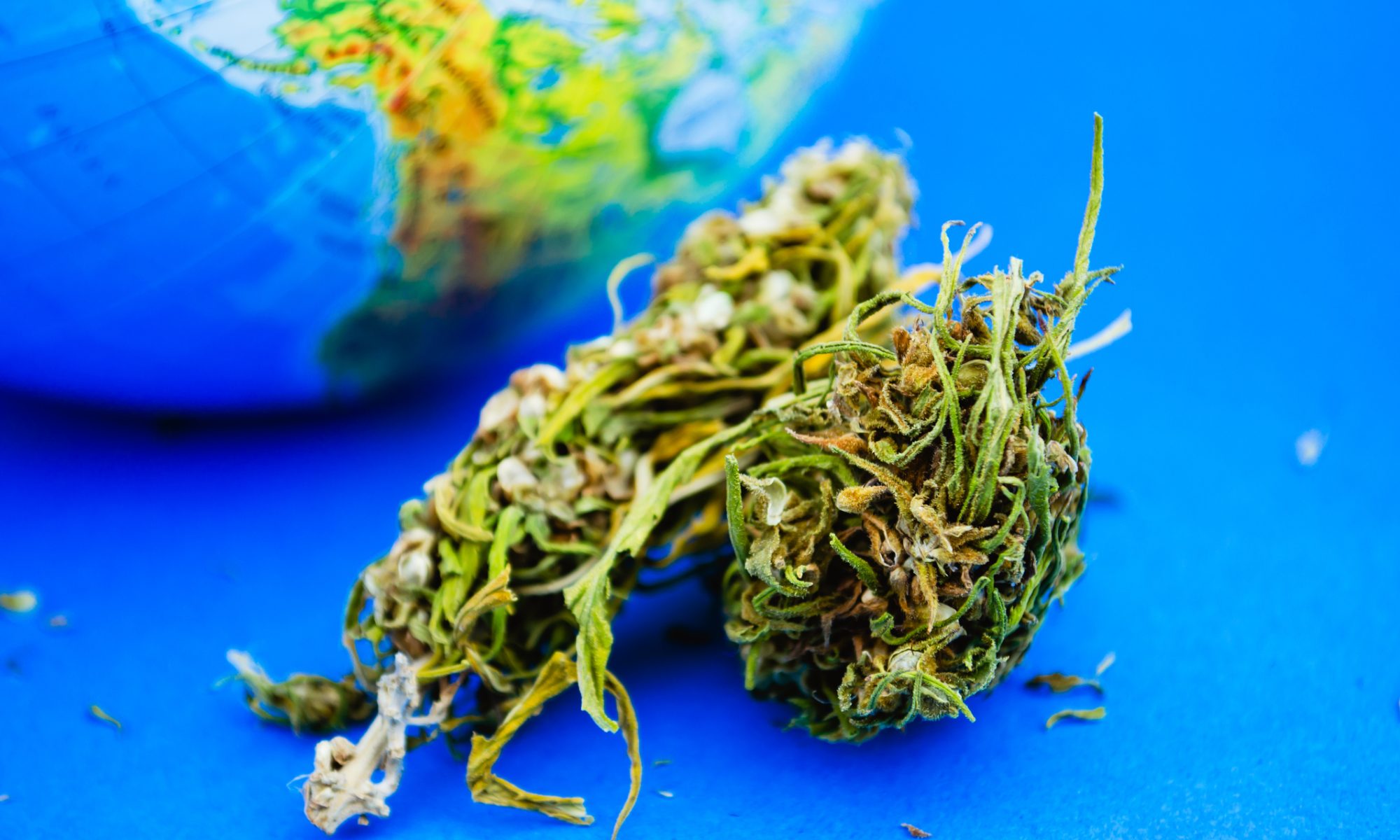 GrowGeneration Expands Internationally with New Distribution Agreements ...