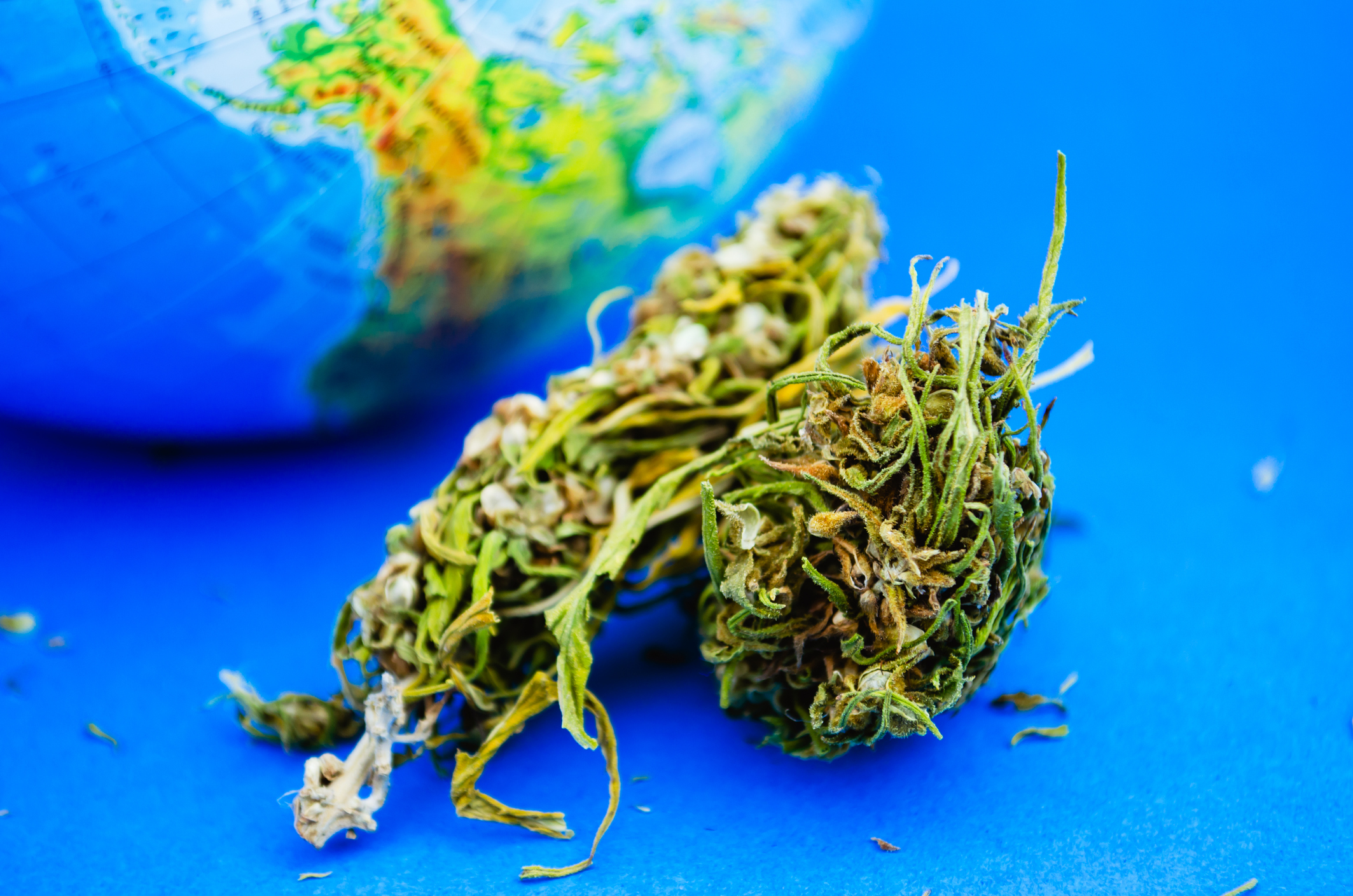 GrowGeneration Expands Internationally with New Distribution Agreements ...