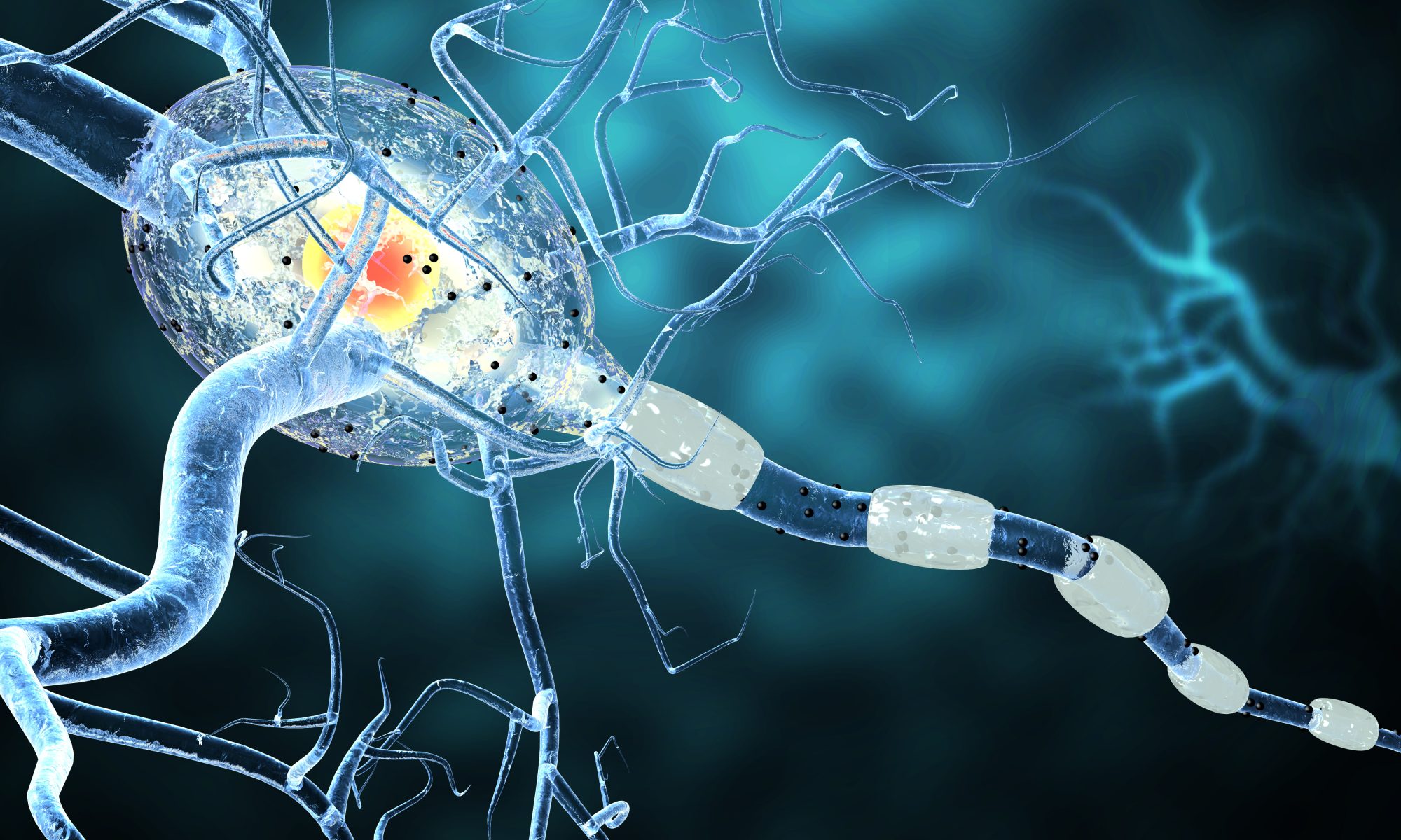 Quantum BioPharma Launches MS Imaging Study with Massachusetts General ...