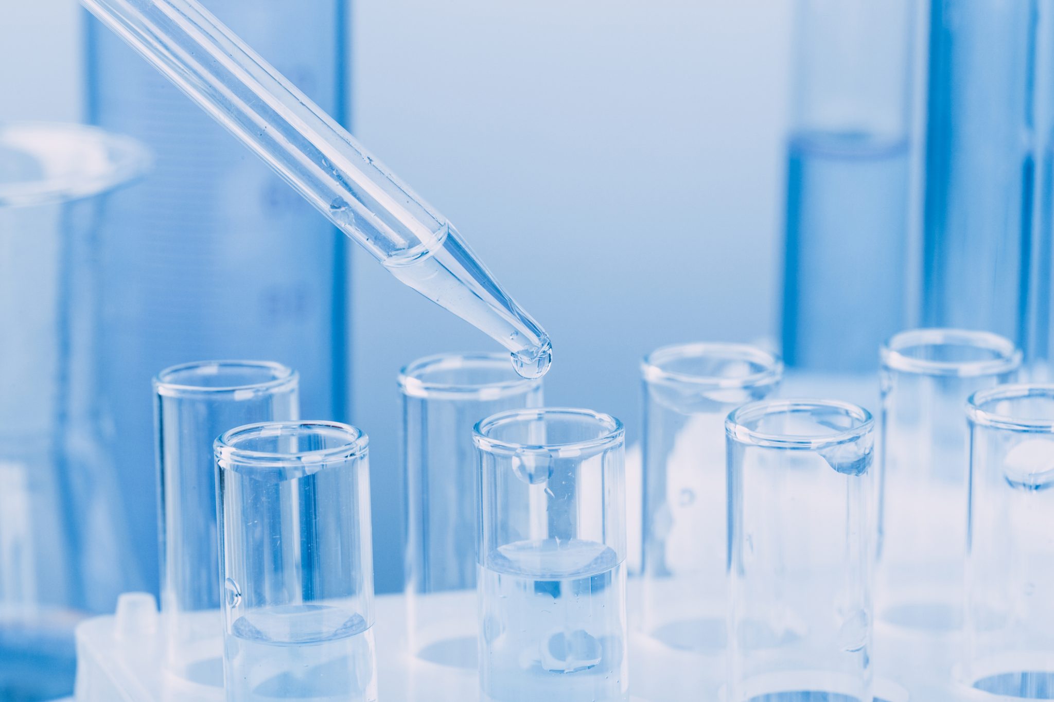 iMDx Presents Breakthrough Kidney Transplant Data at World Transplant ...