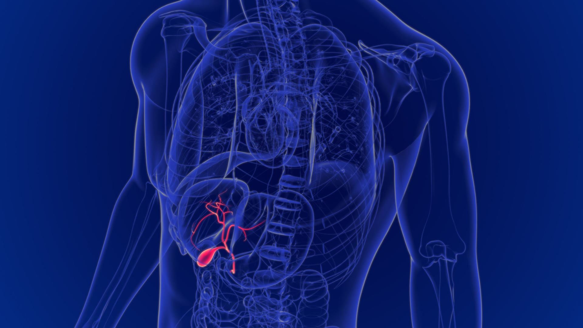 Cyclacel Jumps 35% on Preclinical Data Highlighting Promise in Biliary ...