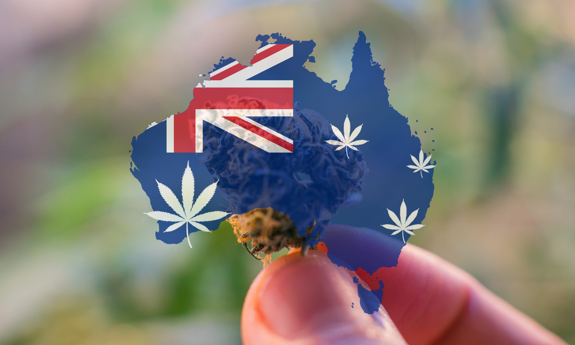 Canopy Growth Strengthens Global Medical Cannabis Portfolio with New ...