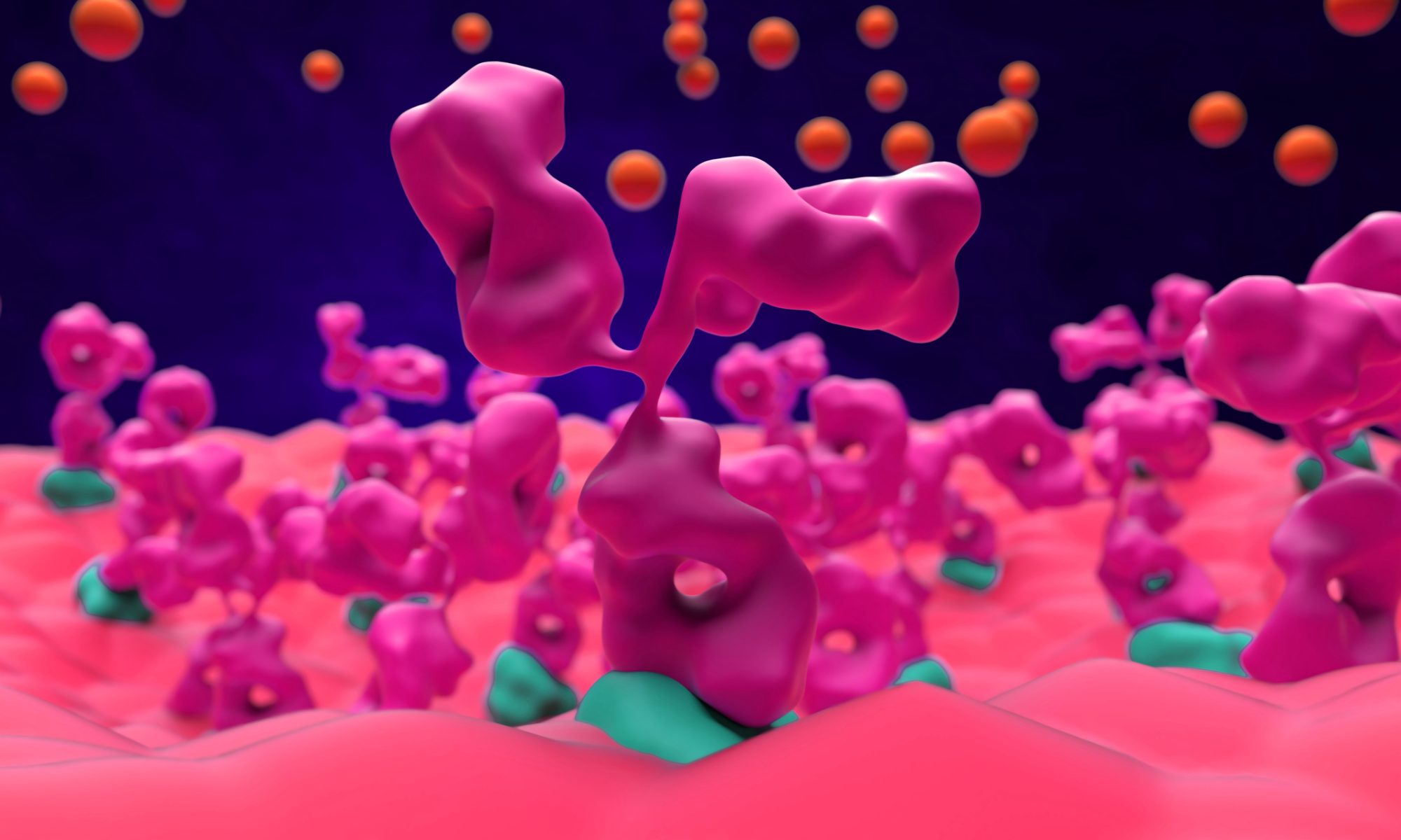 Regeneron’s Cemdisiran Hits Phase 3 Goals in Myasthenia Gravis, FDA ...