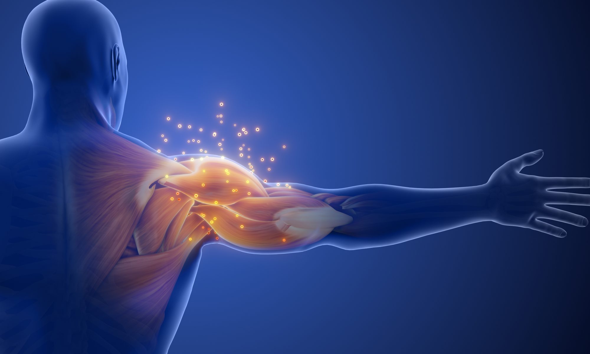 Humana Expands Value-Based Musculoskeletal Care Through New Partnerships - PRISM MarketView