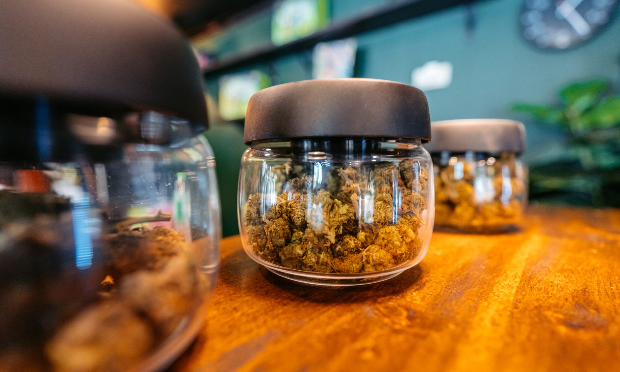 Tilray Brands Expands Medical Cannabis Portfolio in Germany - PRISM ...