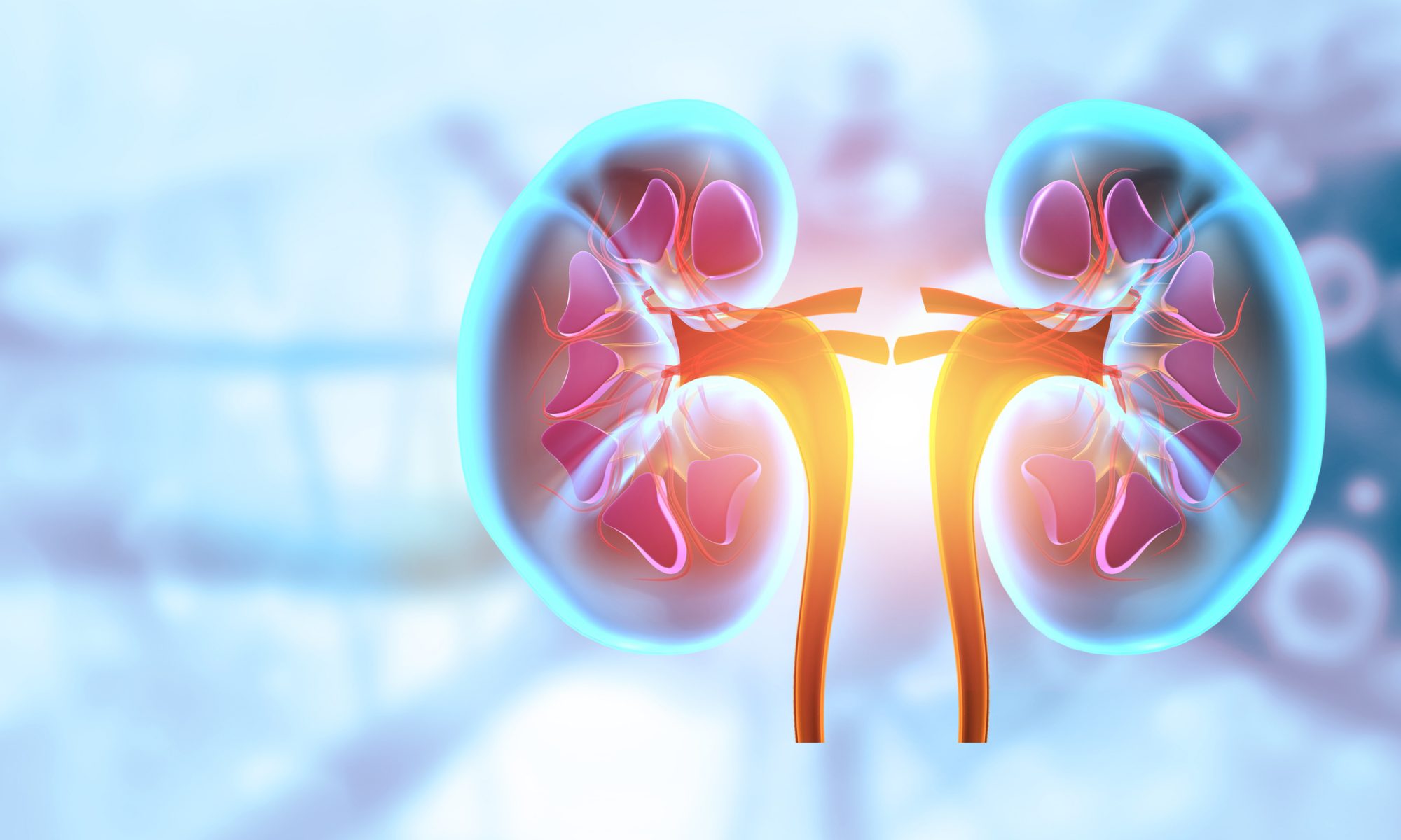 Travere’s FILSPARI Gains FDA REMS Label Update, Setting Stage for ...