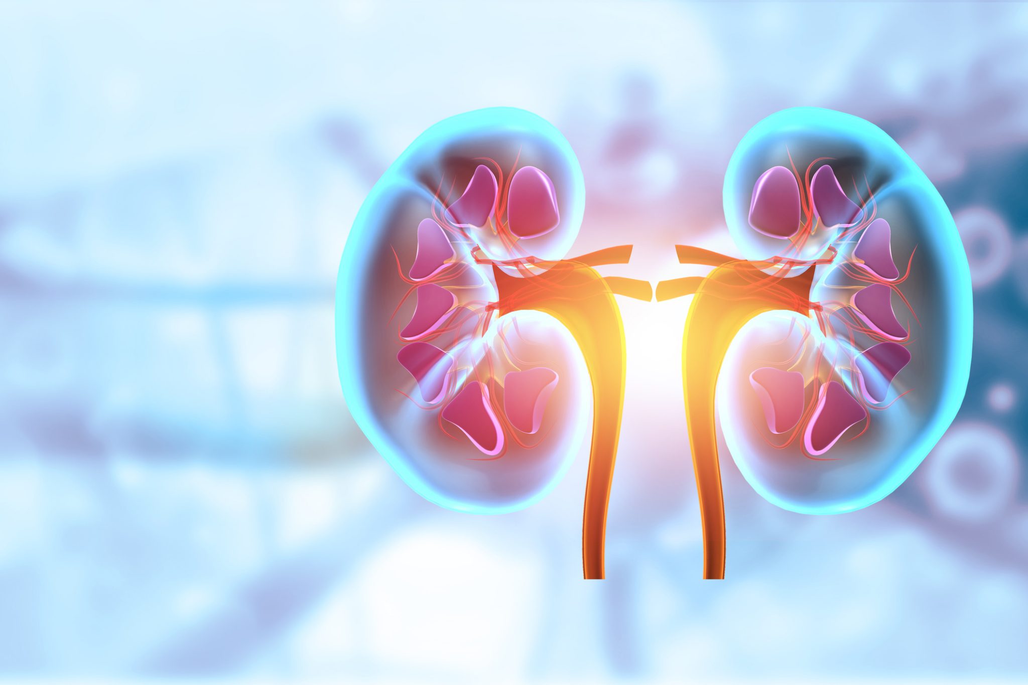 Travere’s FILSPARI Gains FDA REMS Label Update, Setting Stage for ...