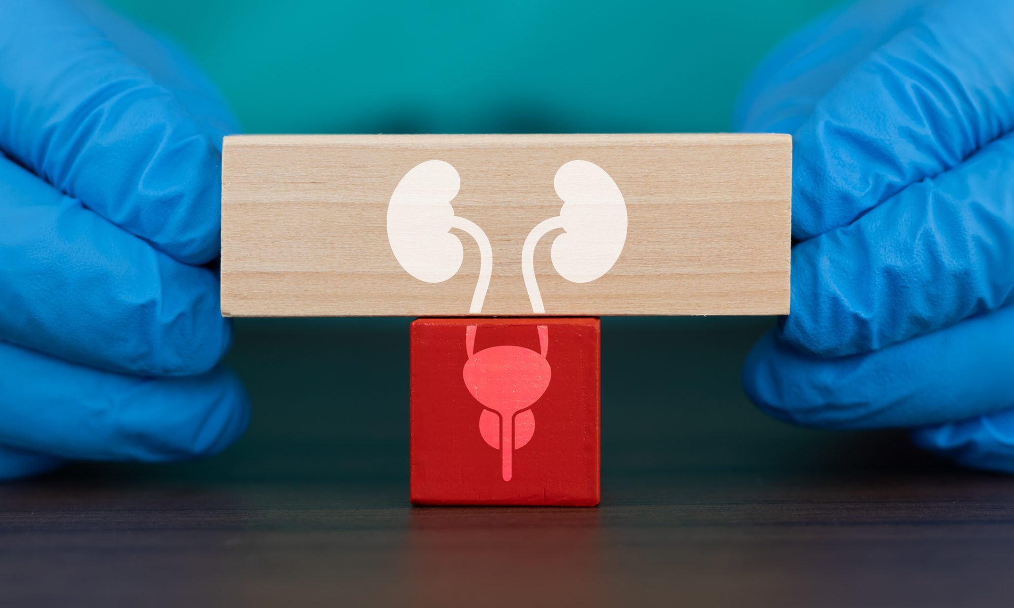 CG Oncology’s Cretostimogene Sustains Durability and Safety – 12 New ...