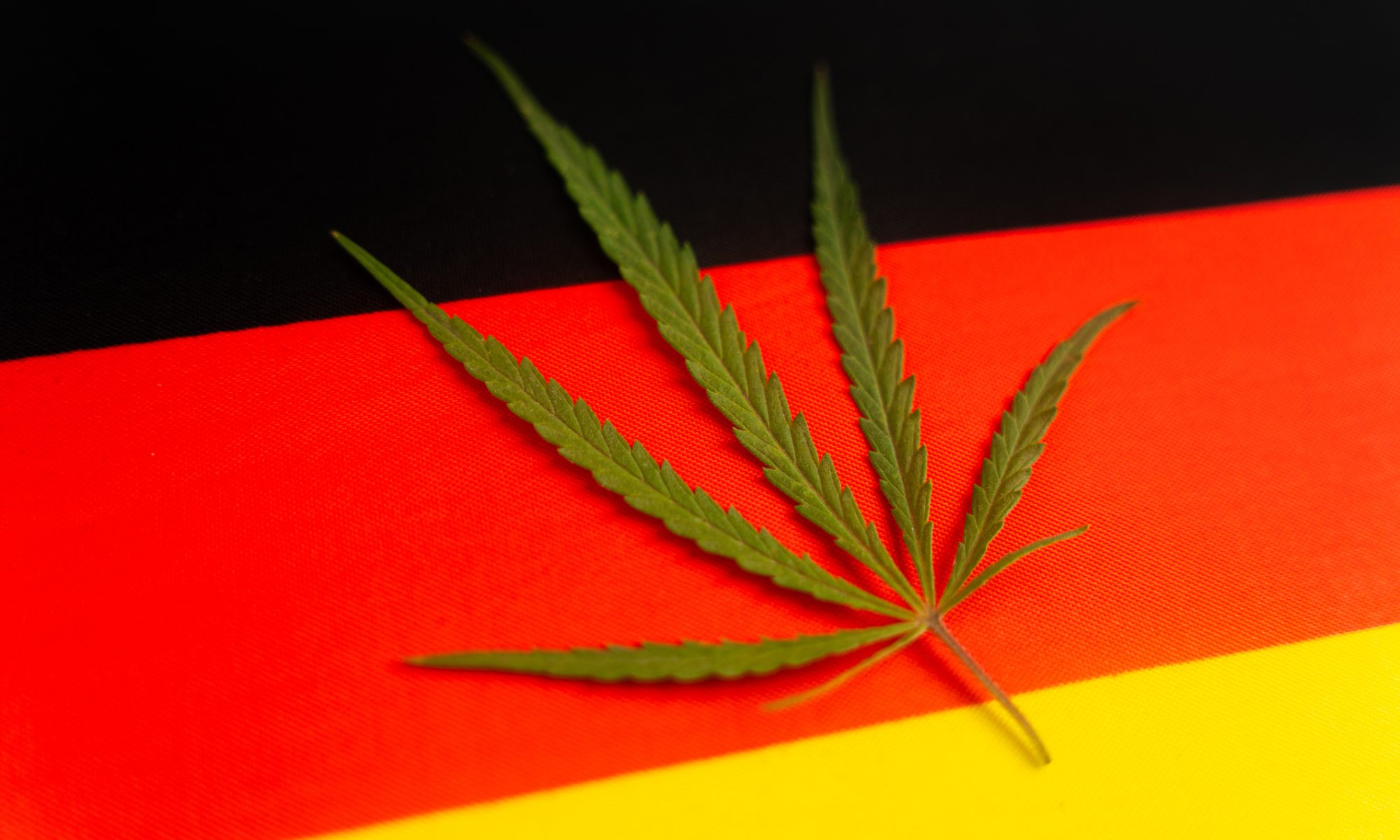 Aurora Cannabis Invests in German Facility to Expand Production and ...