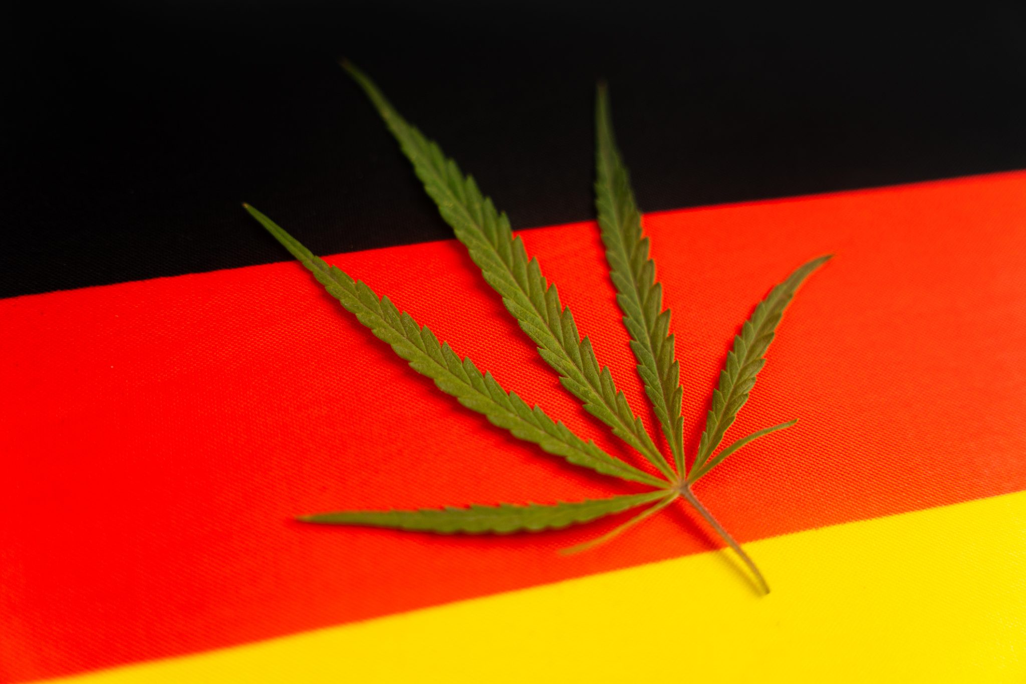 Aurora Cannabis Invests in German Facility to Expand Production and ...