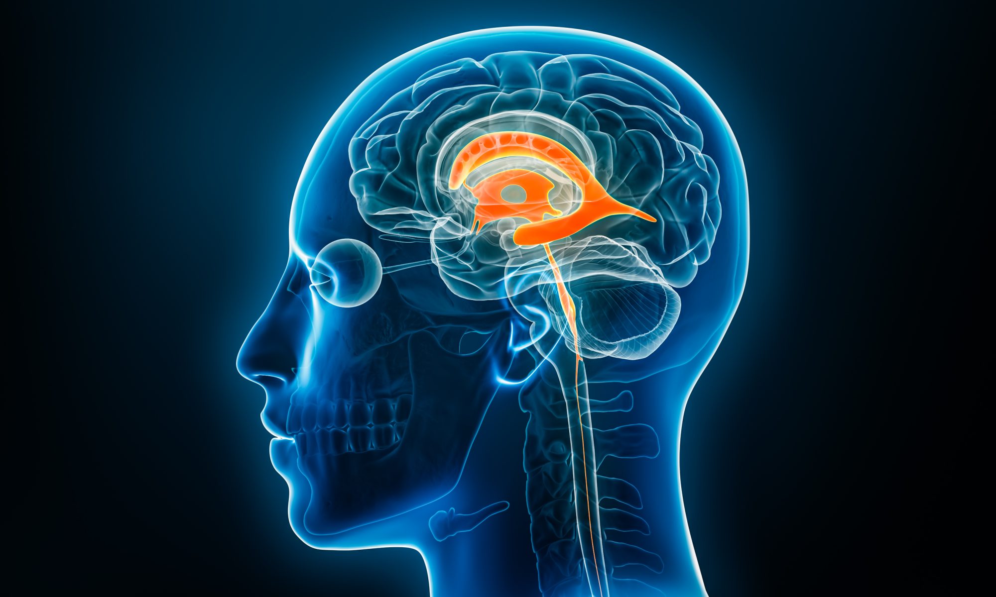 Plus Therapeutics Shares Rise Over 40% After Securing National Coverage ...