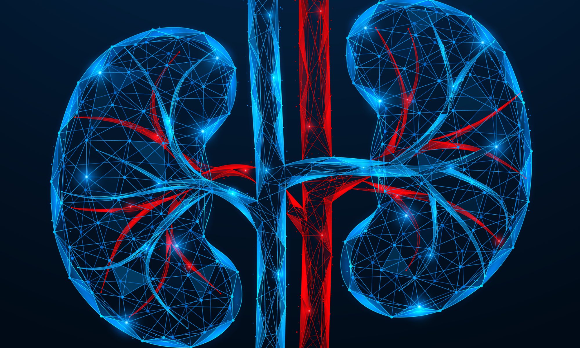 Jade Biosciences to Present New Data on JADE101 at ASN Kidney Week 2025 ...
