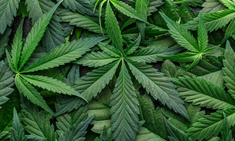 FLUENT Reports Third-Quarter 2025 Results as Company Works to Restore ...