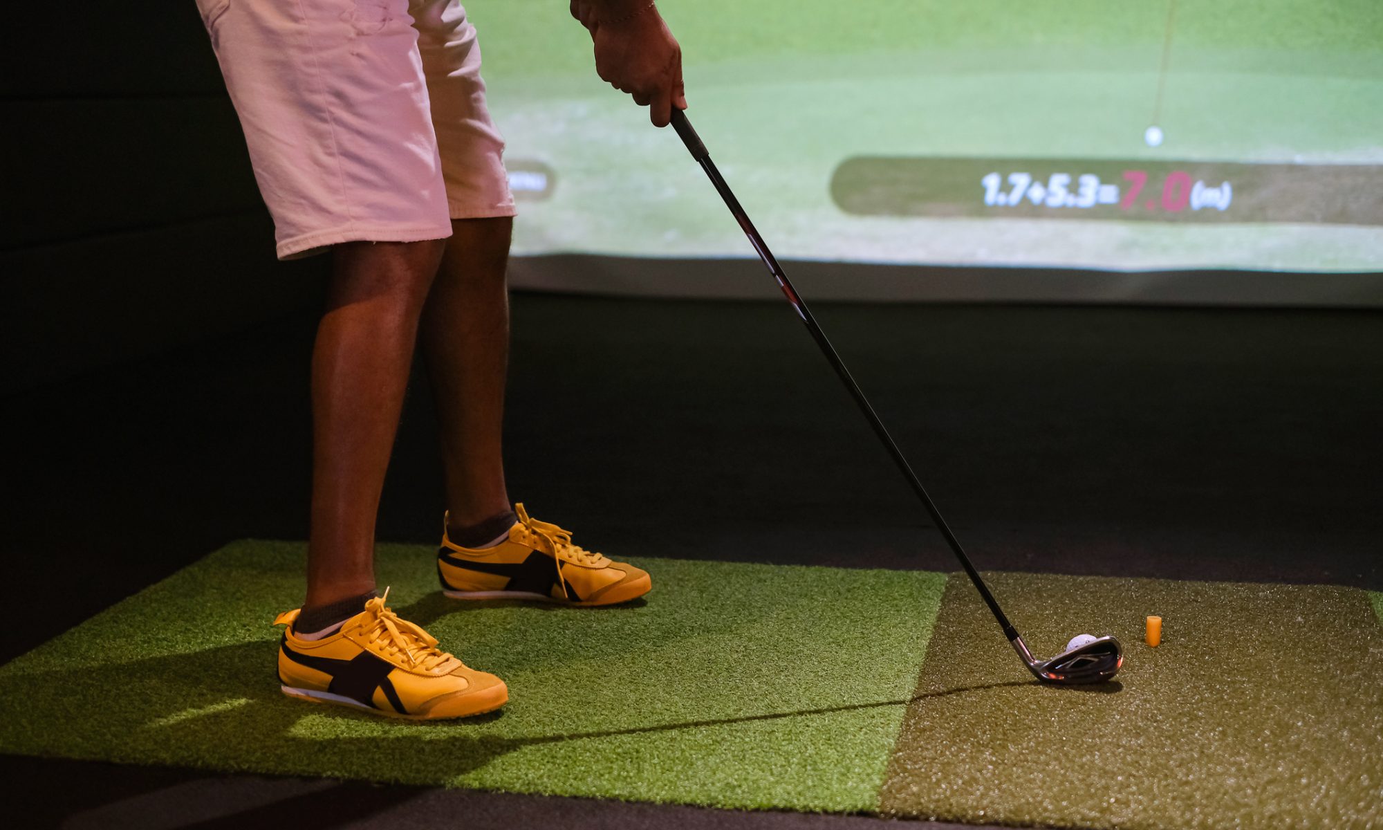 TruGolf Previews Multiplayer Indoor Driving Range With AI Coach ...