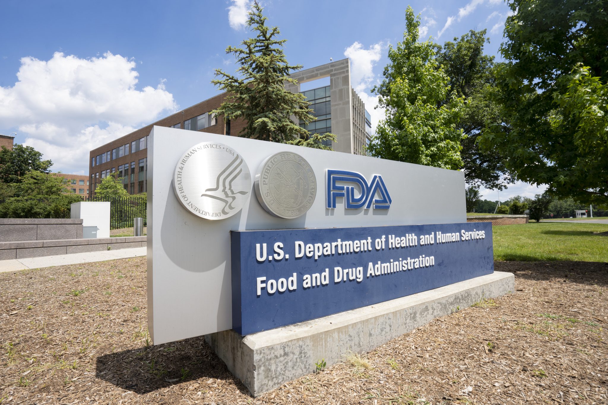 FDA Signals Faster Approval Pathway for Multiple Myeloma Therapies ...